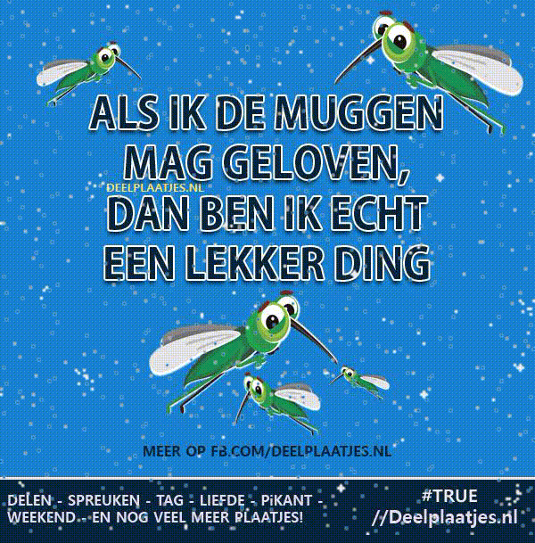 Gifplaatje Muggen vinden me een lekker ding humor - plaatjes delen met ...