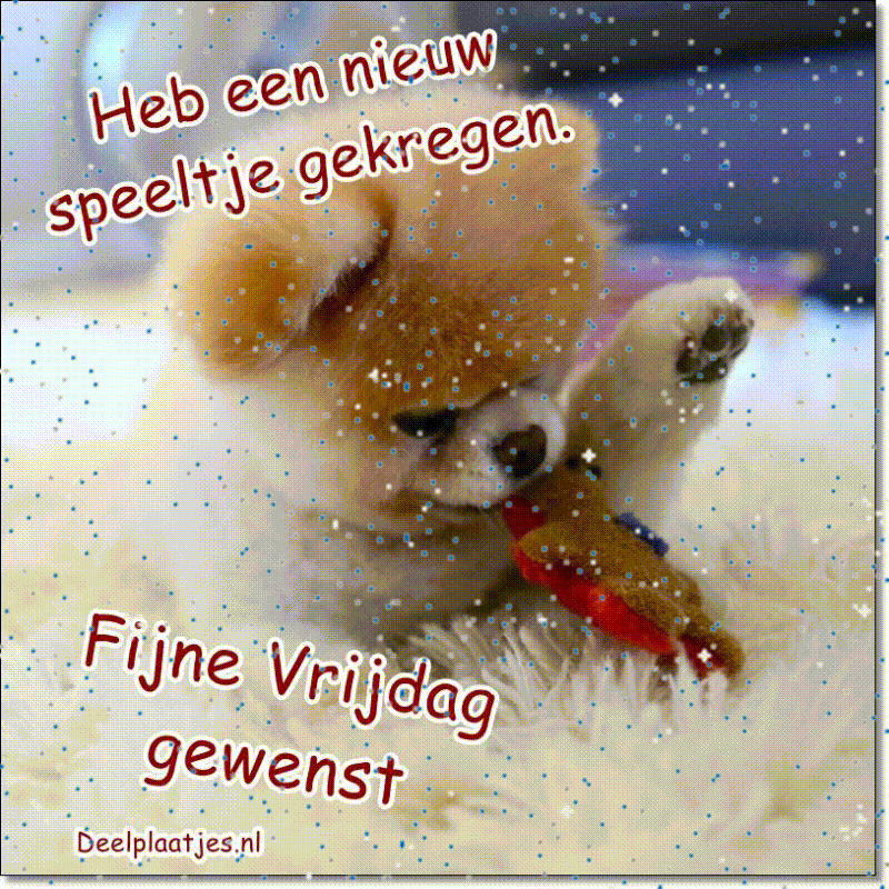 Gifplaatje Fijne vrijdag gewenst van deze lieve kleine puppy - plaatjes ...
