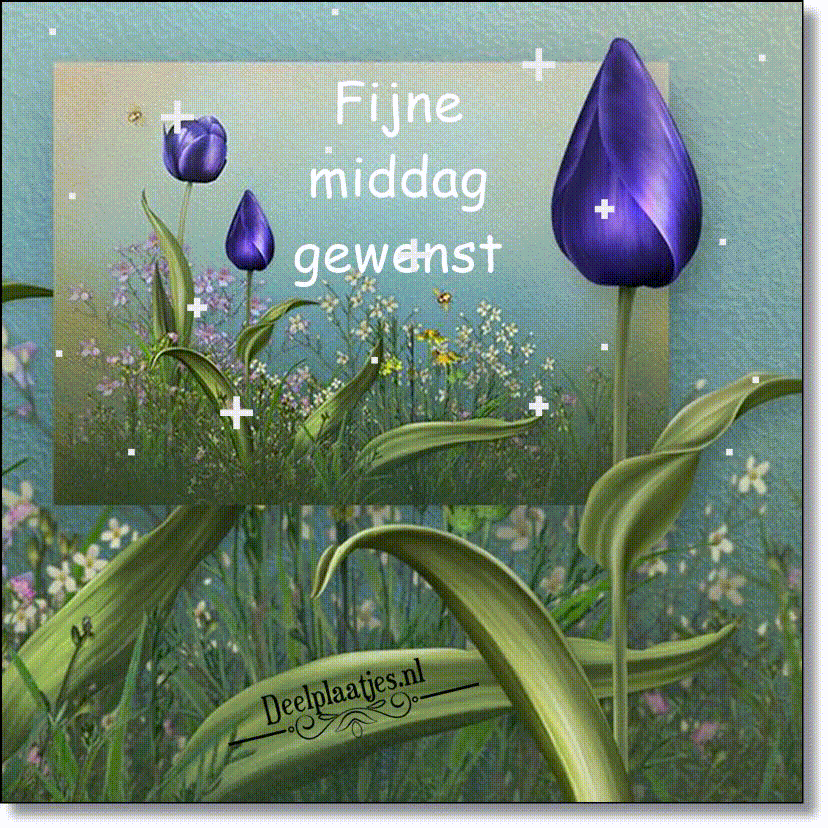 Gifplaatje Fijne middag gewenst groetjes van ons - plaatjes delen met ...