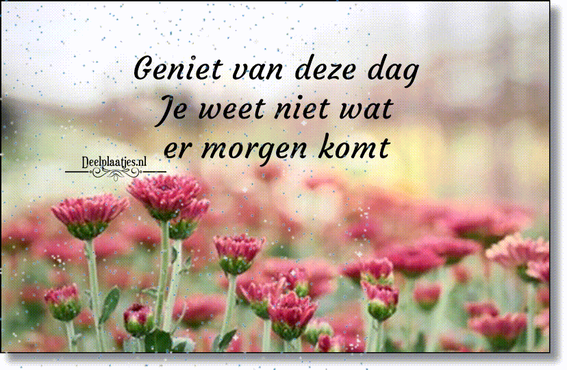 Gifplaatje Geniet van deze dag - plaatjes delen met Whatsapp of social ...