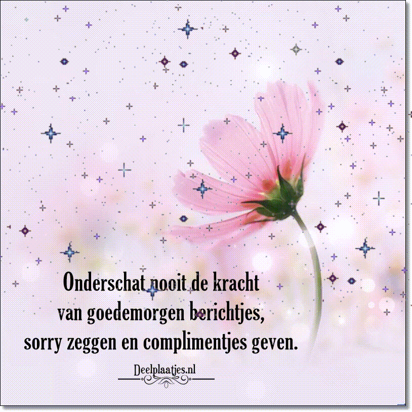 Goedemorgen Bericht Voor Tumblr Goedemorgen Kopje Koffie | Premium