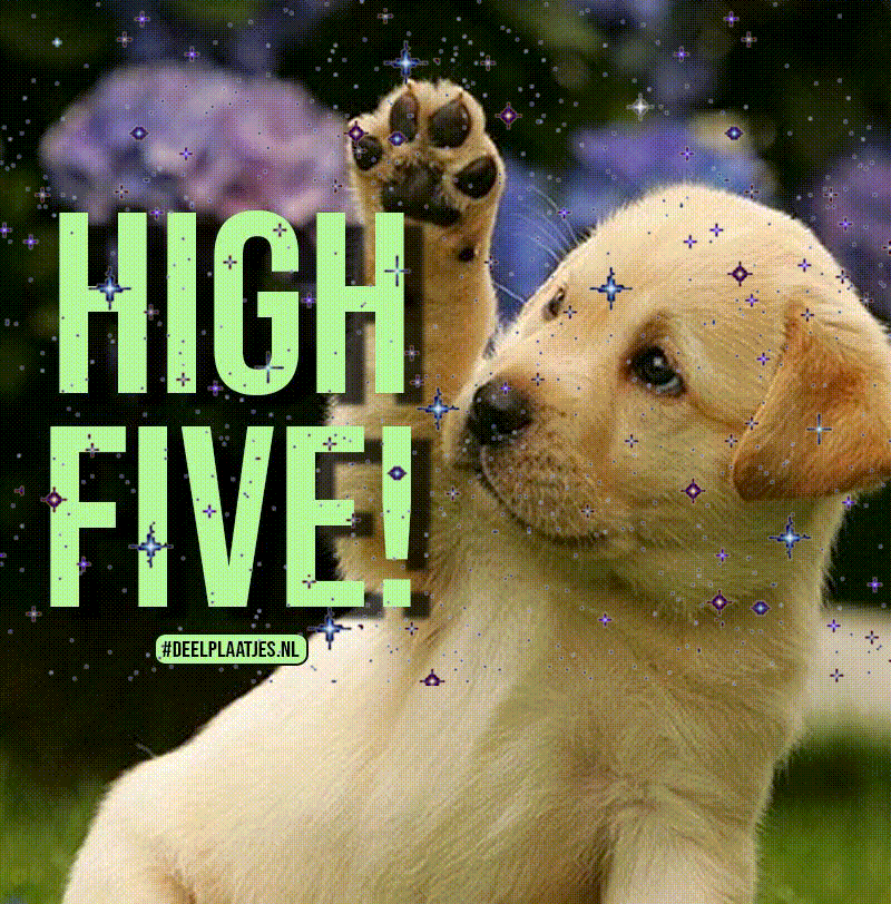 Hond High Five Gif