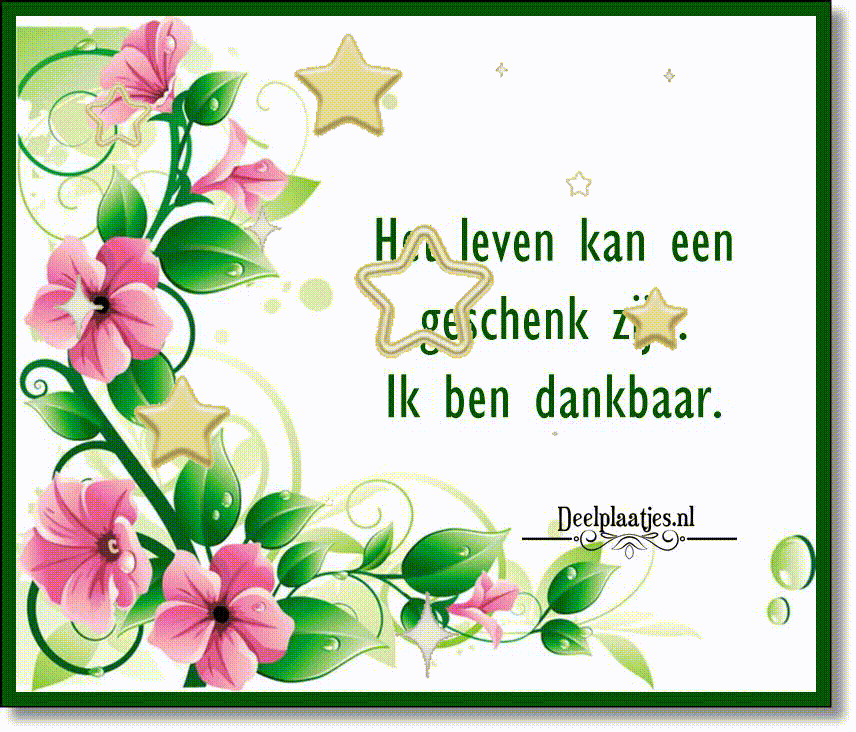 Gifplaatje Ik ben dankbaar voor het leven vandaag - Delen via WhatsApp