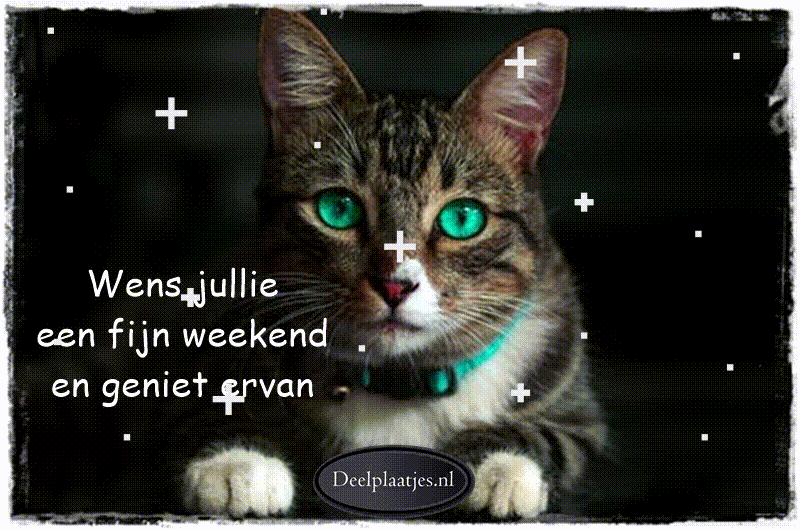 Gifplaatje Poes wenst fijn weekend - plaatjes delen met WhatsApp of ...