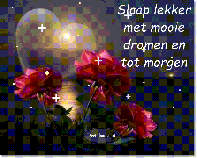 Gifplaatje Slaap lekker met mooie dromen en tot morgen - plaatjes delen ...