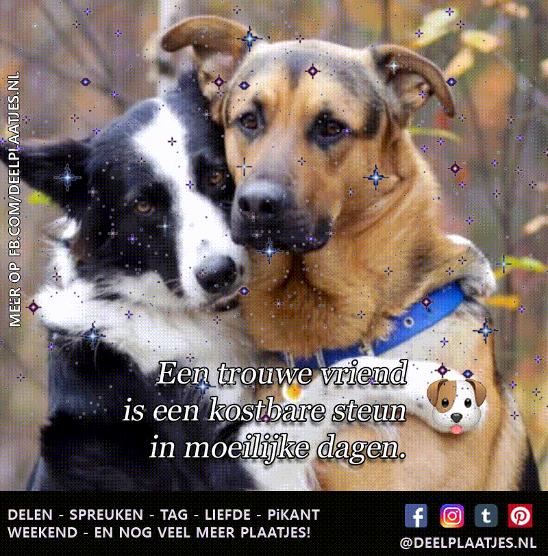 Vriend Gezegden Tumblr Grafixfox (@grafixfox) • Threads, Say More