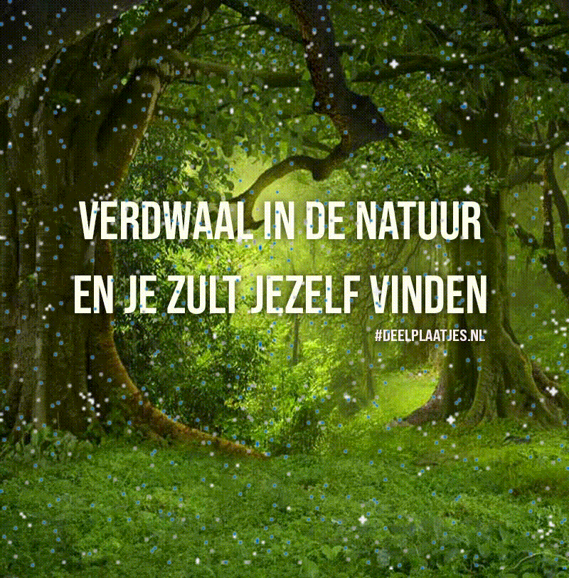 Gif Afbeeldingen Van De Natuur Tropisch Strand Natuur Gratis Gifs Op