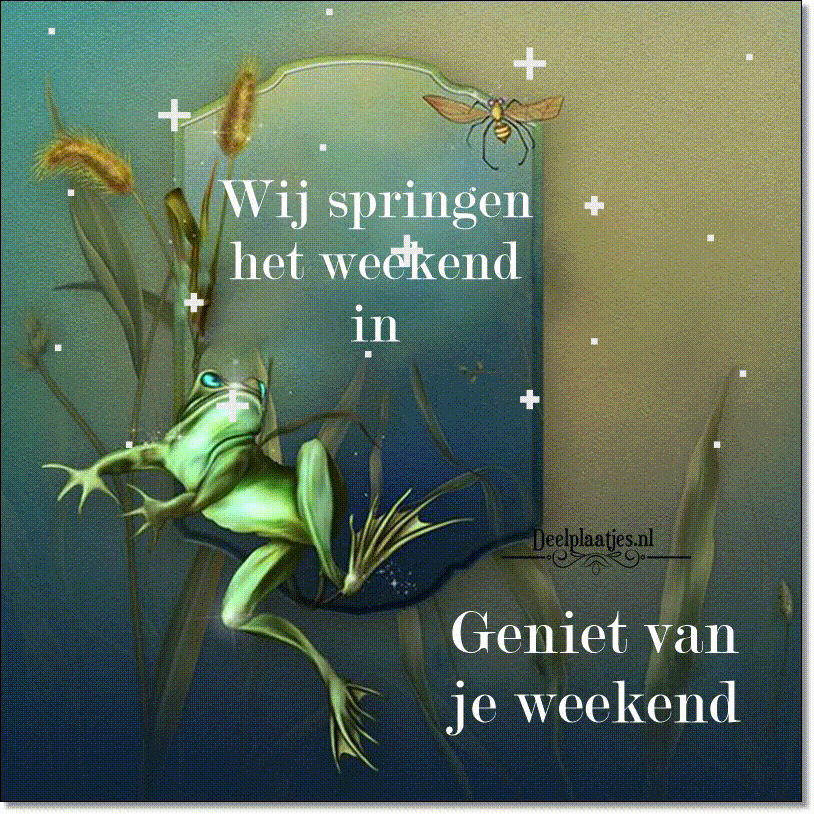 Gifplaatje We springen het weekend in geniet volop van je weekend ...