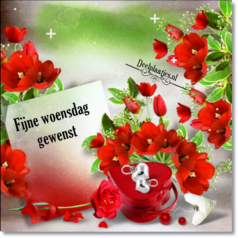 Gifplaatje Een vrolijke woensdag fijne dag wens - Delen via WhatsApp